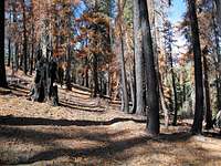 Tehipite Dome : Climbing, Hiking & Mountaineering : SummitPost