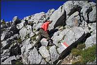 Steinfalk : Climbing, Hiking & Mountaineering : SummitPost