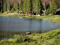 Mount Powell : Climbing, Hiking & Mountaineering : SummitPost