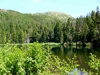 Siskiyou Wilderness : Climbing, Hiking & Mountaineering : SummitPost