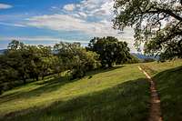 Spring on Sonoma and Burdell Mountain : Trip Reports : SummitPost