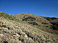 Shoshone Mountain (NV) : Climbing, Hiking & Mountaineering : SummitPost