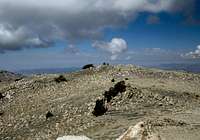 Shoshone Mountain (NV) : Climbing, Hiking & Mountaineering : SummitPost