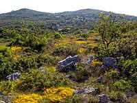 Ucka : Climbing, Hiking & Mountaineering : SummitPost