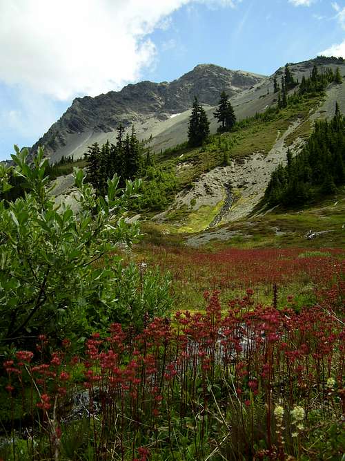 Olympic Range (WA) : Climbing, Hiking & Mountaineering : SummitPost