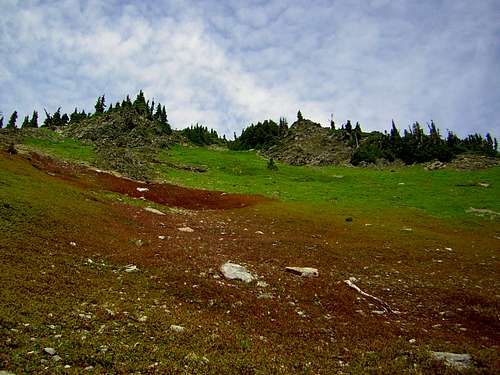 Mount Lena : Climbing, Hiking & Mountaineering : SummitPost