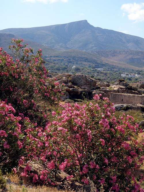 Mount Zas (Mt Zeus) : Climbing, Hiking & Mountaineering : SummitPost