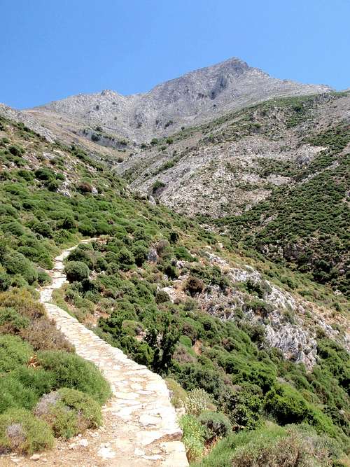 Mount Zas (Mt Zeus) : Climbing, Hiking & Mountaineering : SummitPost