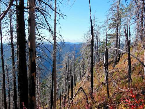 Mount Rose : Climbing, Hiking & Mountaineering : SummitPost