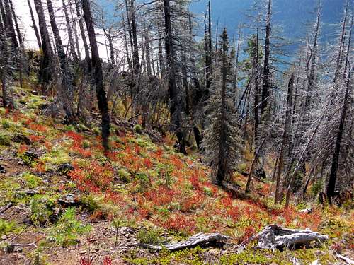 Mount Rose : Climbing, Hiking & Mountaineering : SummitPost