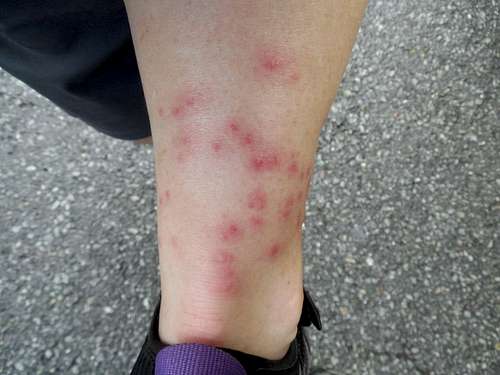 Caribbean Island Peaks : Climbing, Hiking & Mountaineering : SummitPost