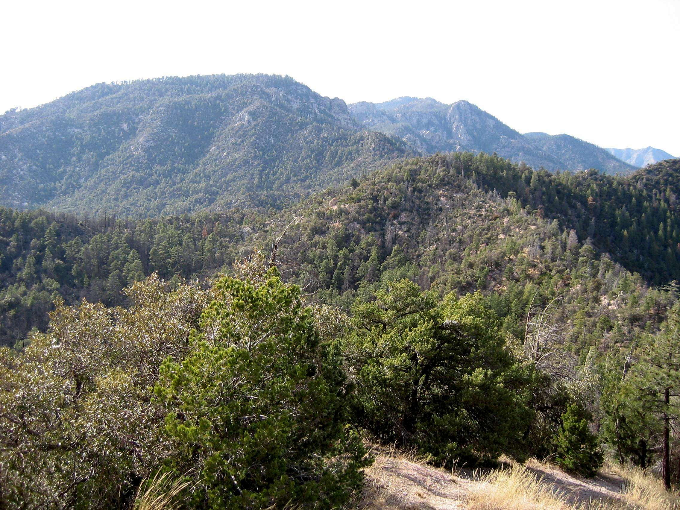 Mt. Lemmon : Climbing, Hiking & Mountaineering : SummitPost